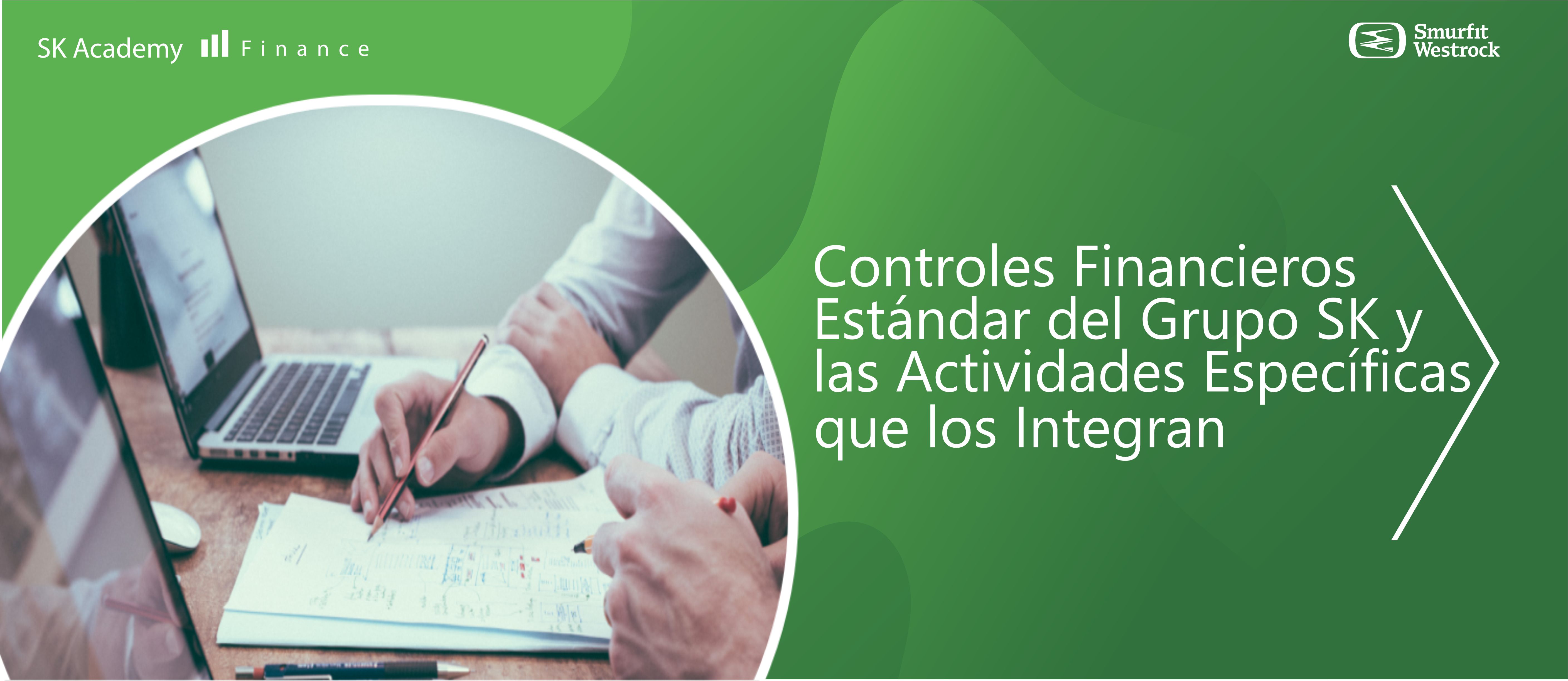 Controles financieros estándar del Grupo SK y las actividades ...